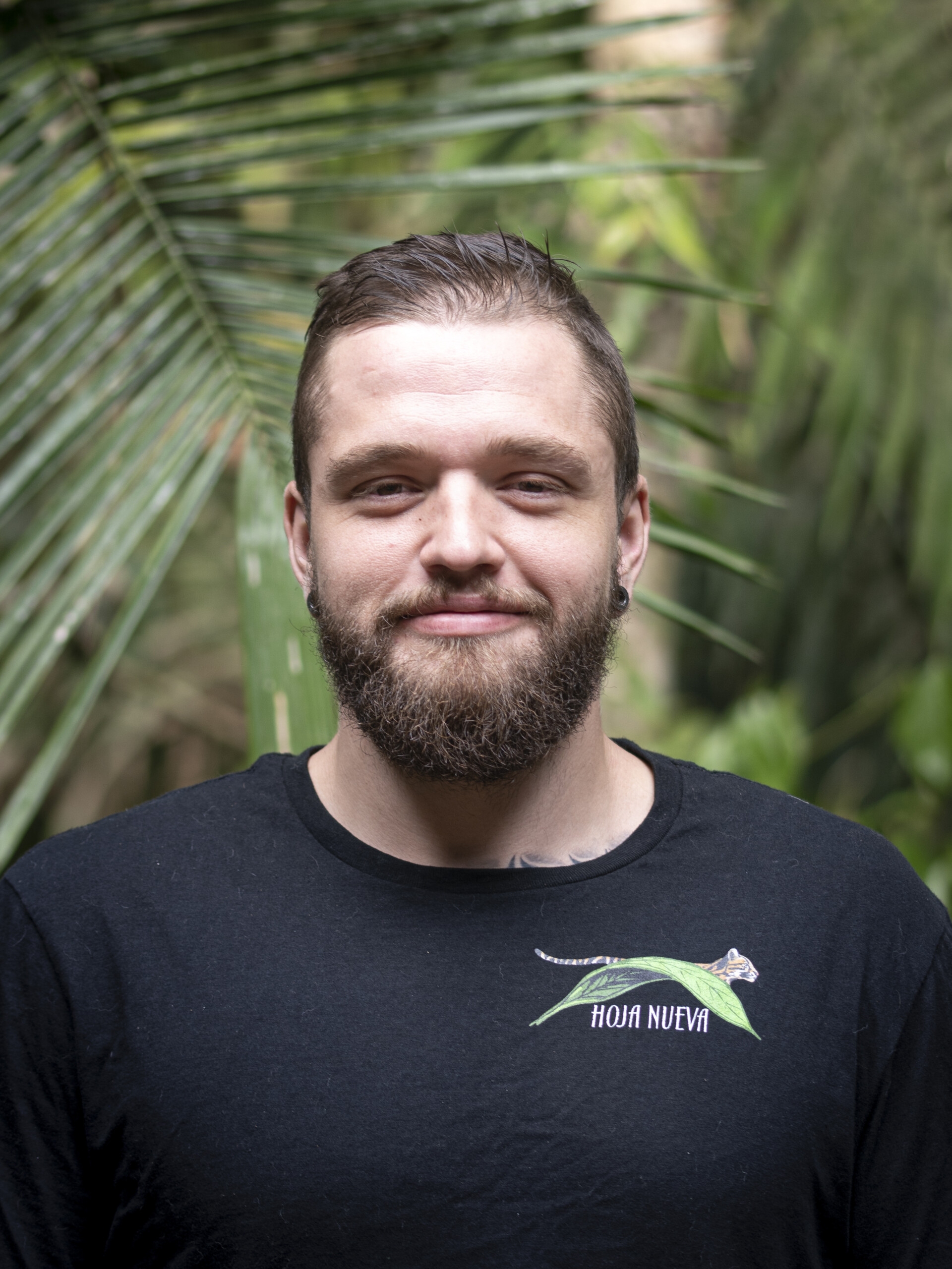 Dylan Singer - Hoja Nueva