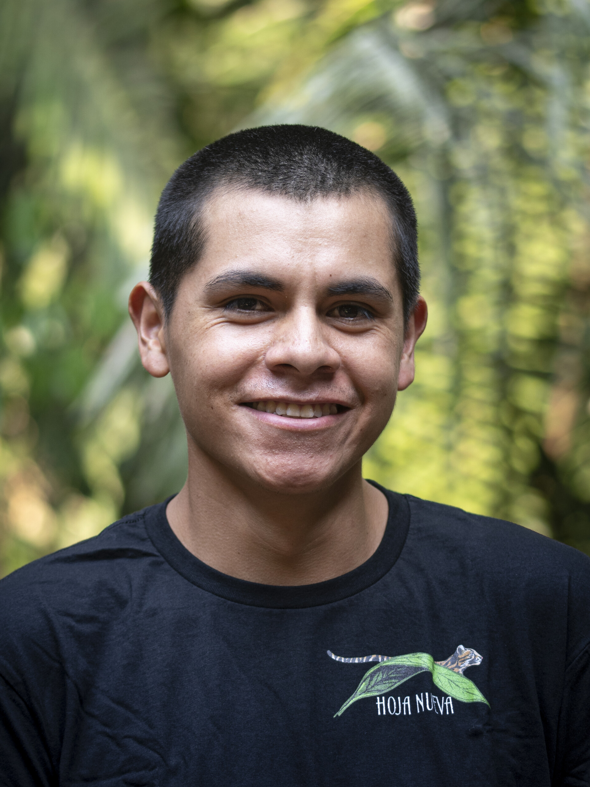 Jared Guevara - Hoja Nueva